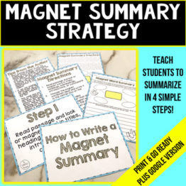 Summary Writing Activity - Common Core Aligned - The Sparkly Notebook
