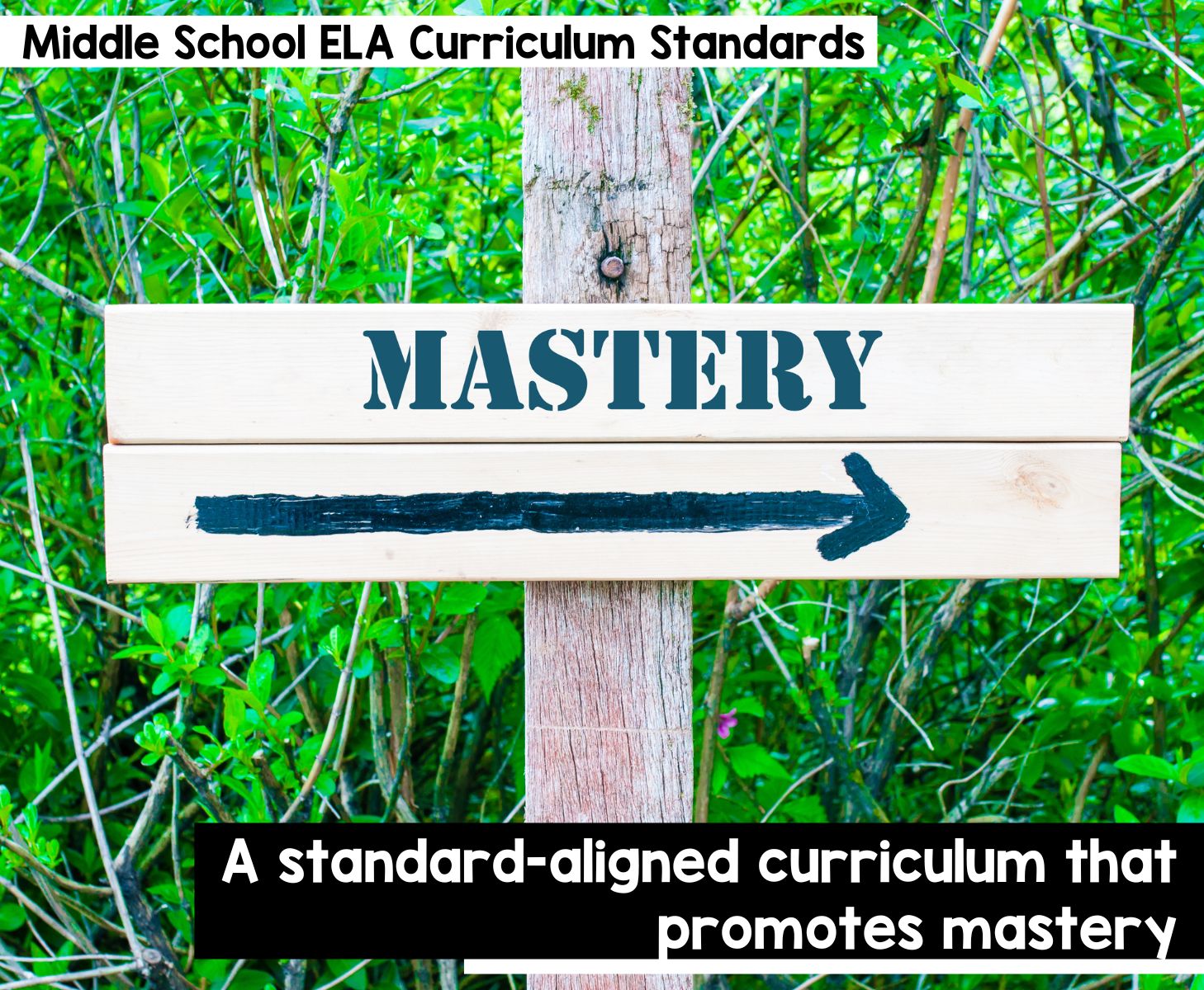 A standard-aligned curriculum that promotes mastery - The Sparkly Notebook