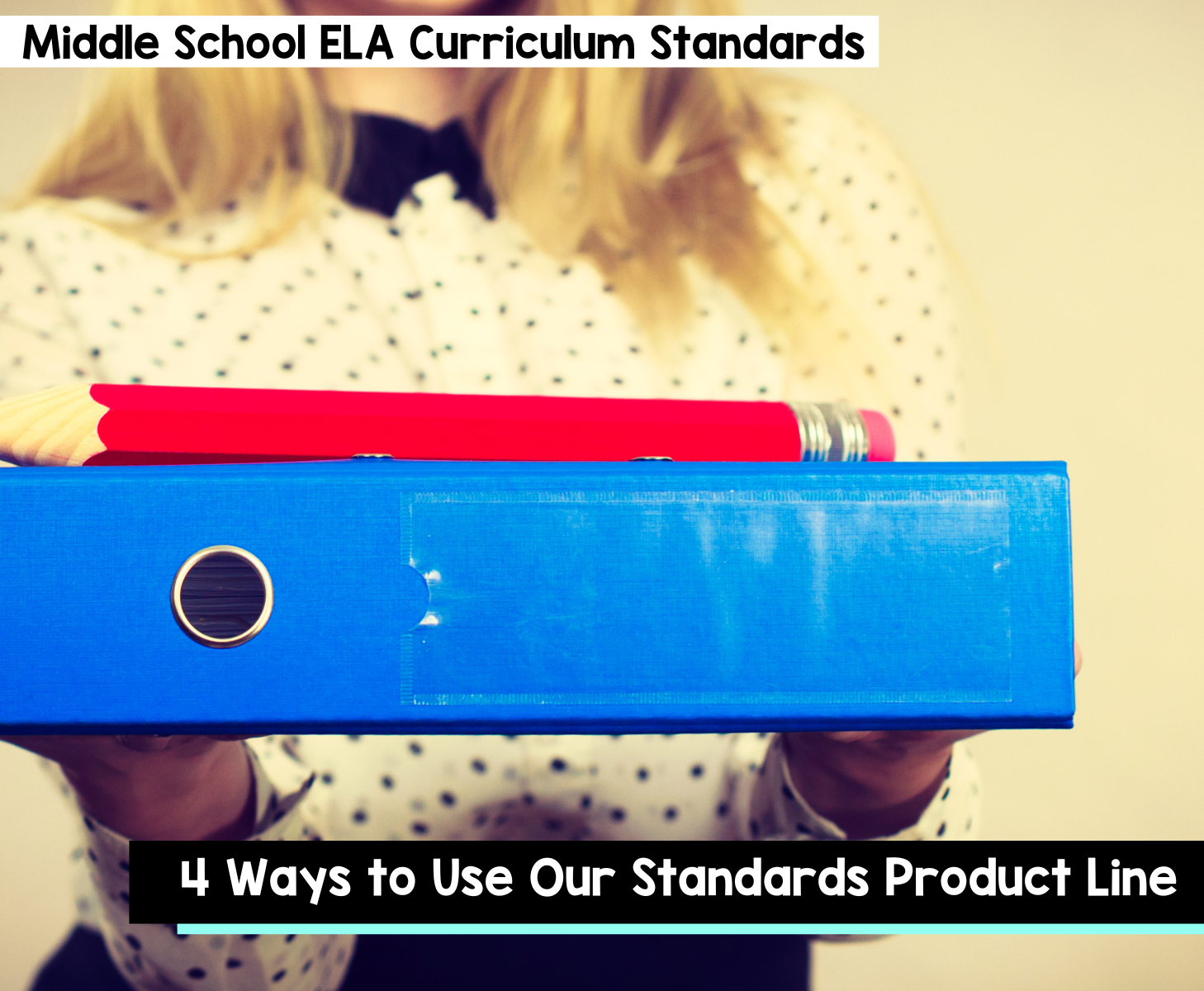 4 Ways to Use Our Standards Product Line - The Sparkly Notebook